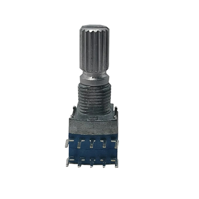 RS1010 Rotary Switch - L&G